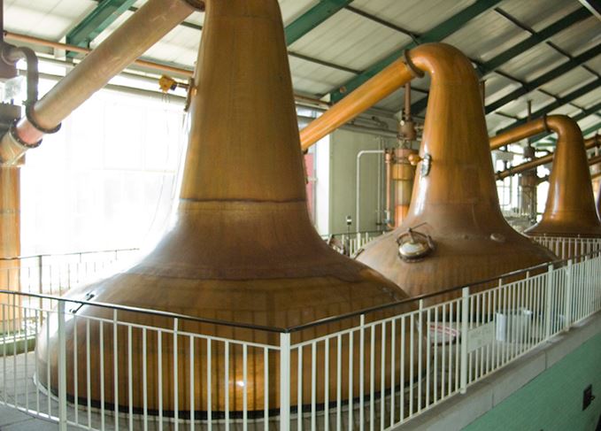 Distillery cats: Scotch’s legendary mousers | Scotch Whisky