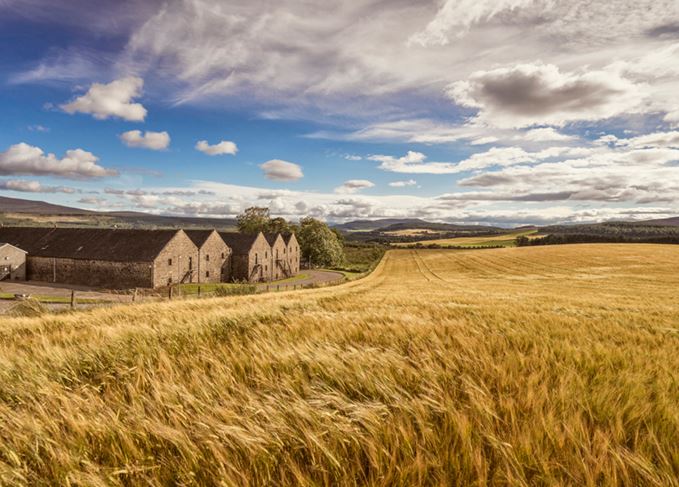 The rise of the whisky trail | Scotch Whisky