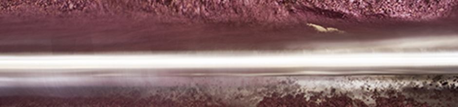 Search | Scotch Whisky